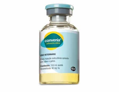 Convenia - Amoedo Distribuidora